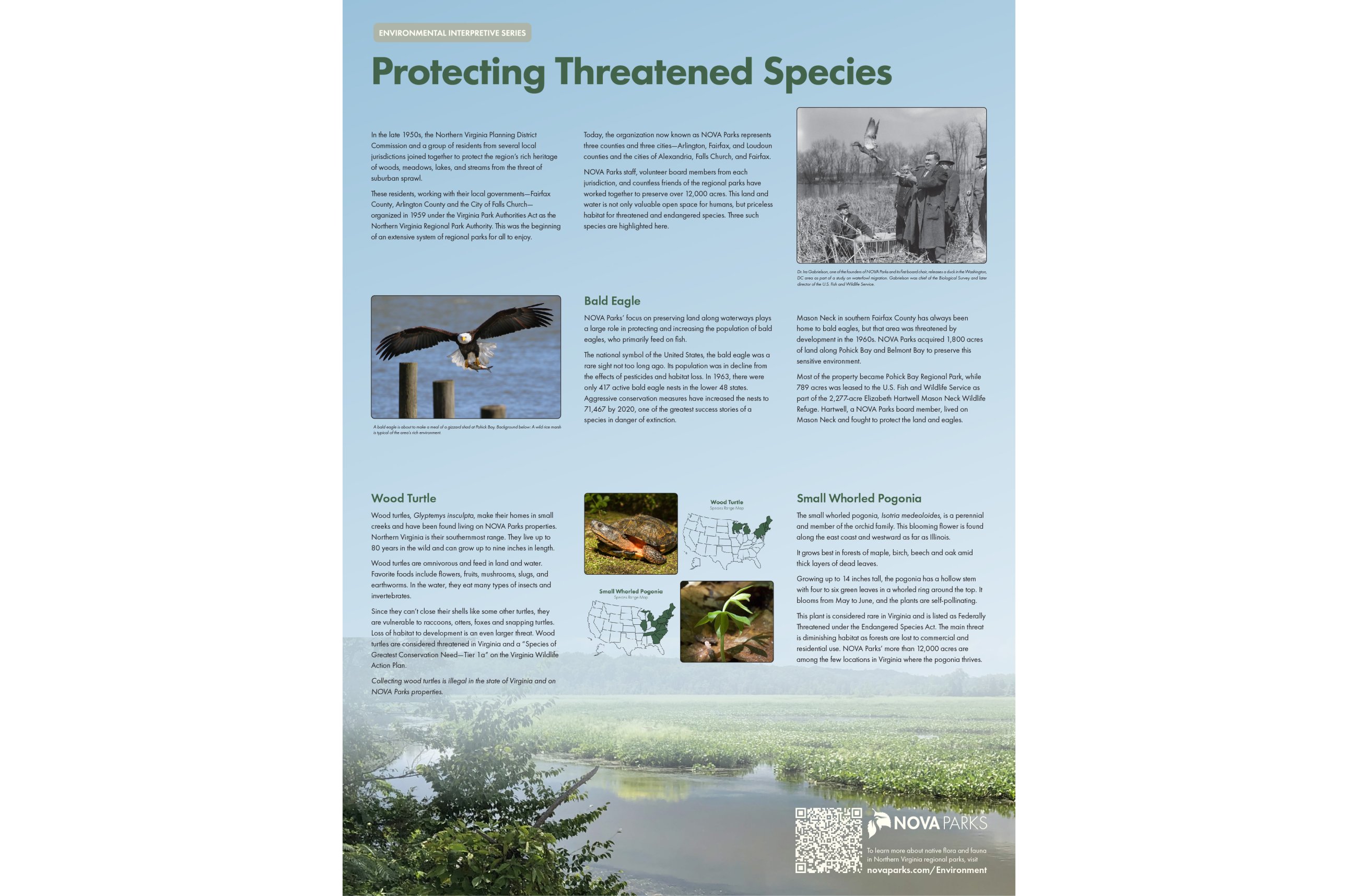 Environmental Interpretive Series: Protecting Threatened Species | NOVA ...
