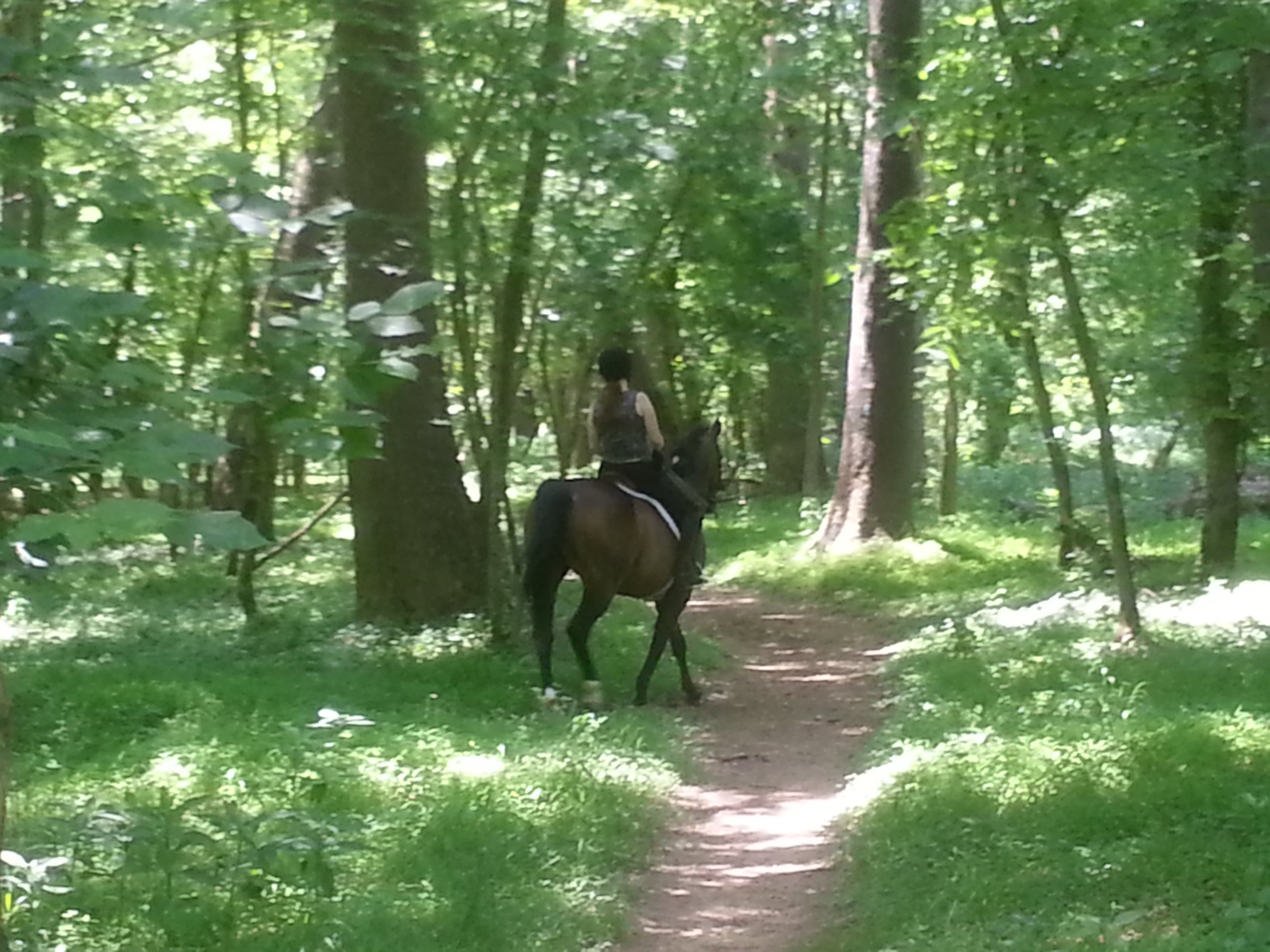 Equestrian Trails | NOVA Parks