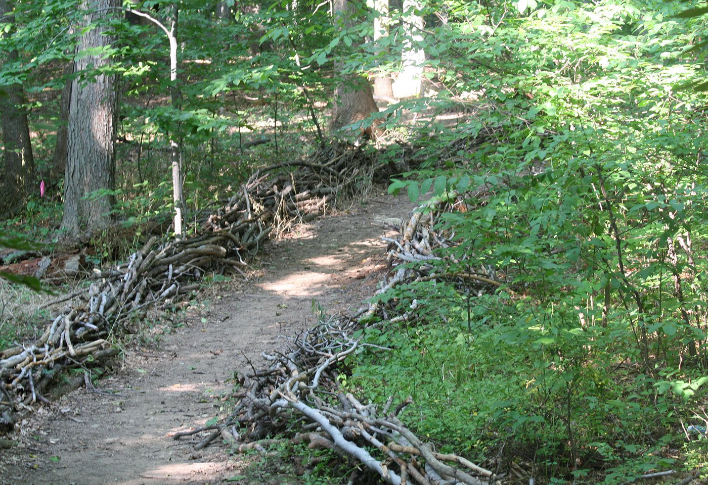 Equestrian Trails | NOVA Parks