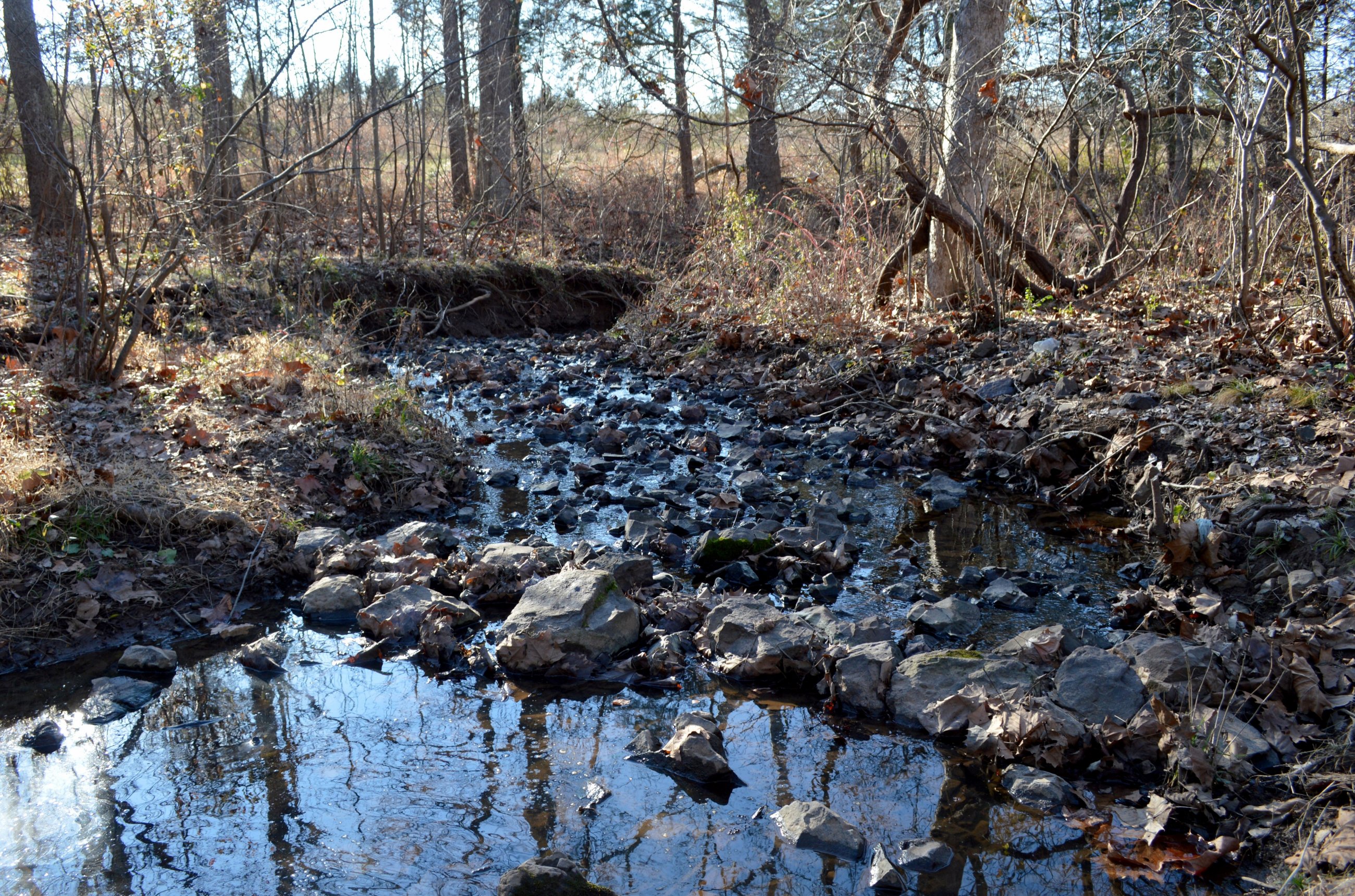 Interpretive Trails | NOVA Parks