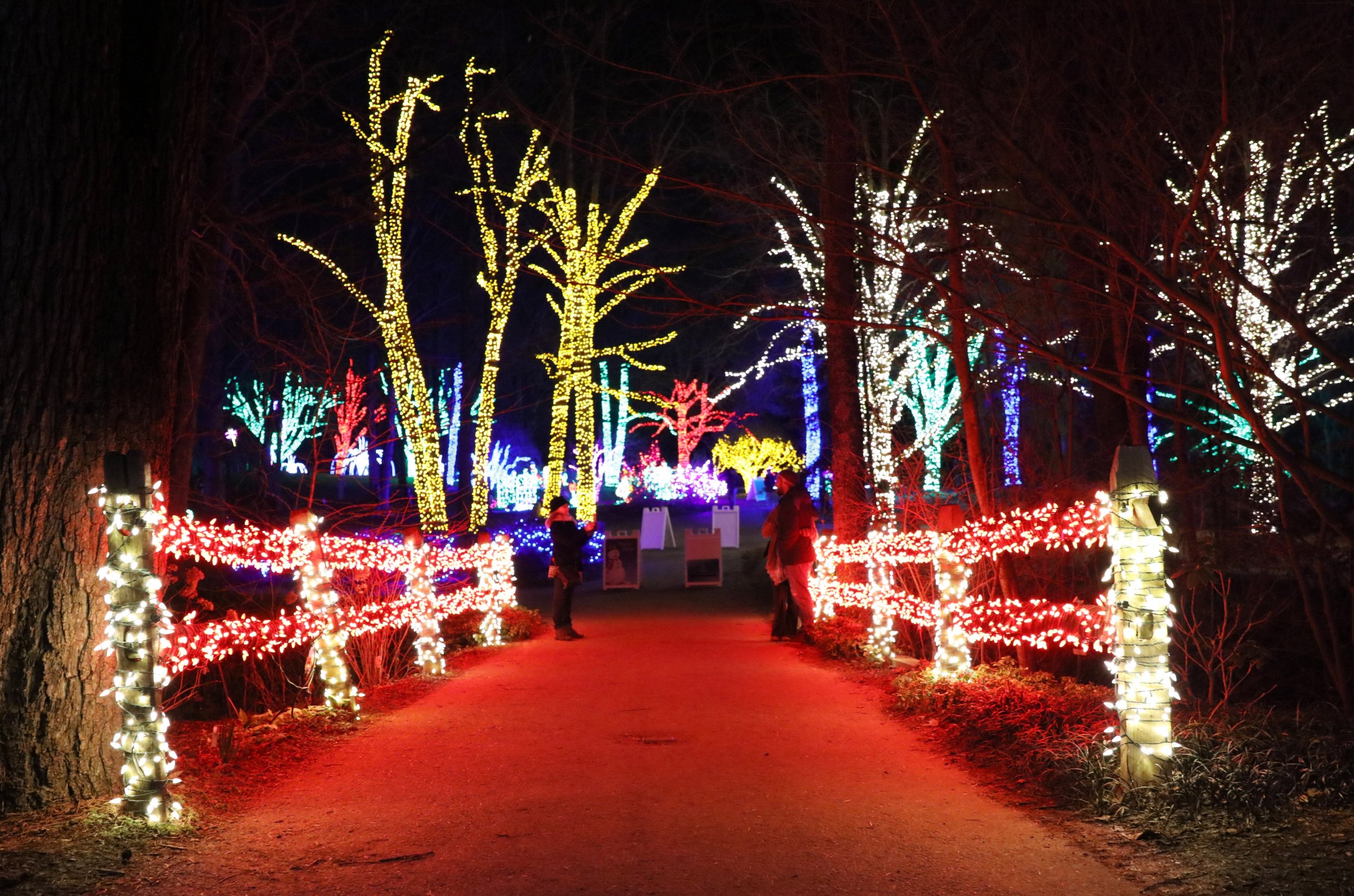 A Regional Favorite: Meadowlark's Winter Walk of Lights | NOVA Parks